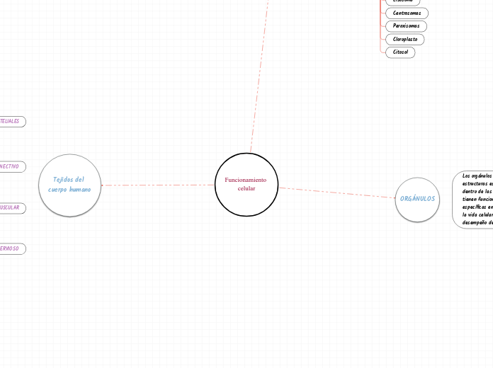 mapa mental fisologia ev1 - Mindmap